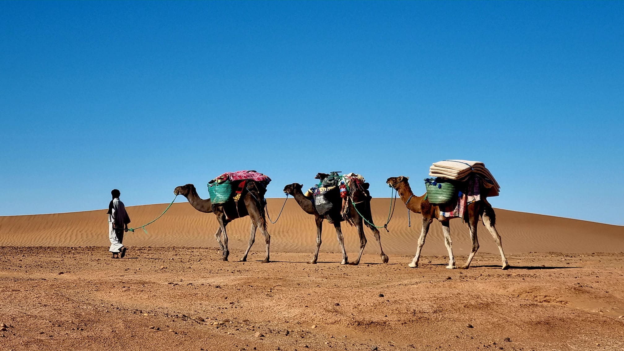 Home - Sahara desert trekking